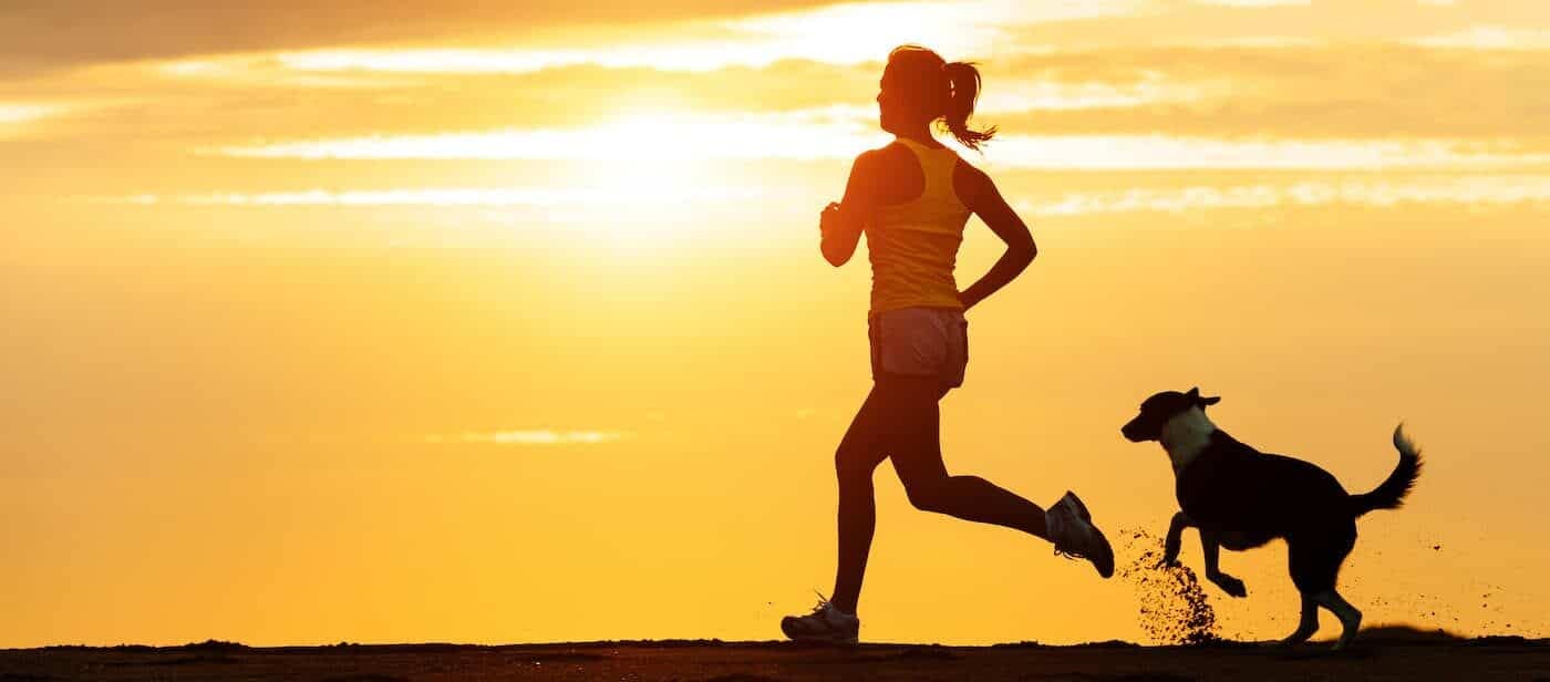 The Best Ways To Get Active With Your Dog - Sustain Health Magazine