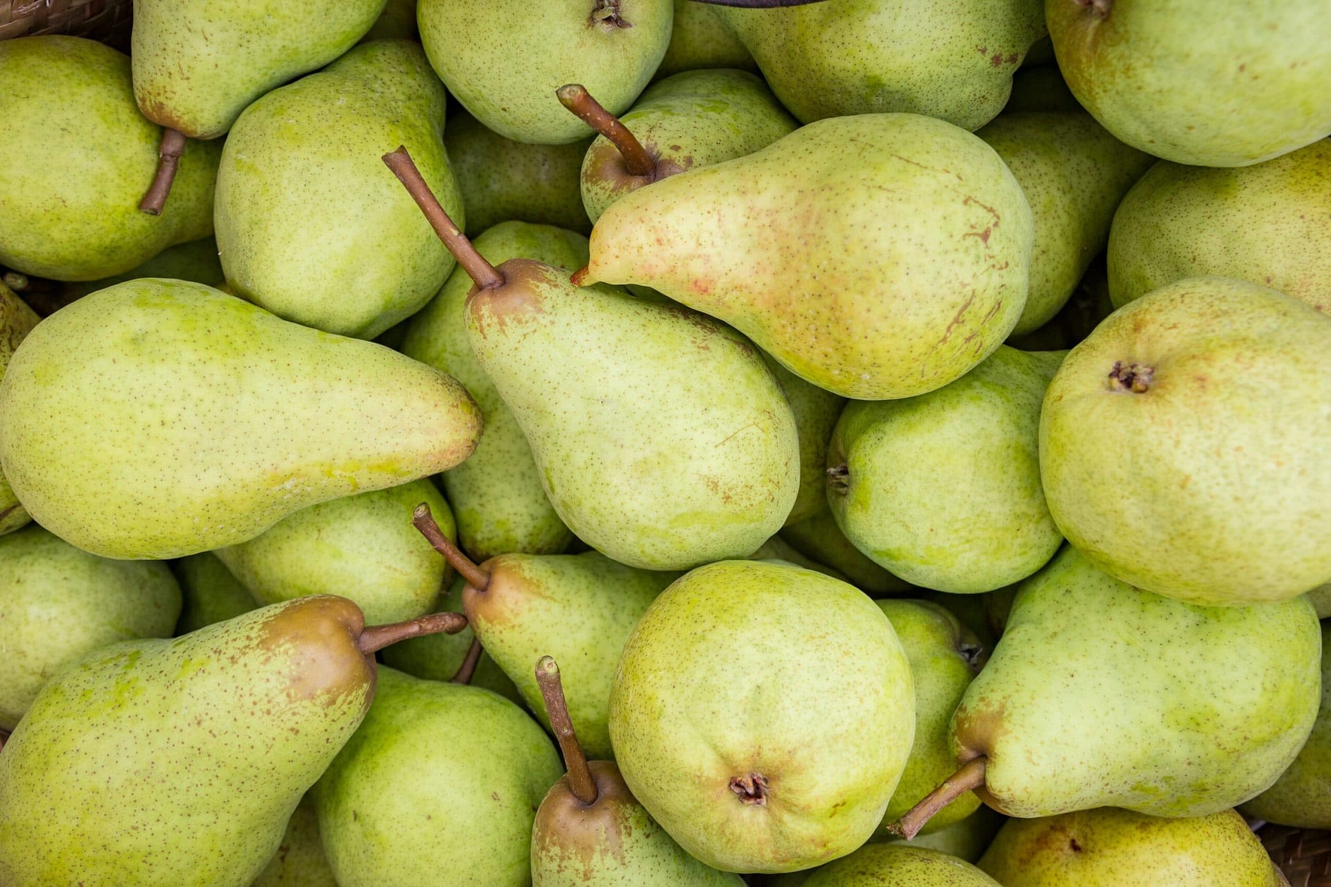 5 Of The Most Amazing Health Benefits Of Eating Pears - Sustain Health ...