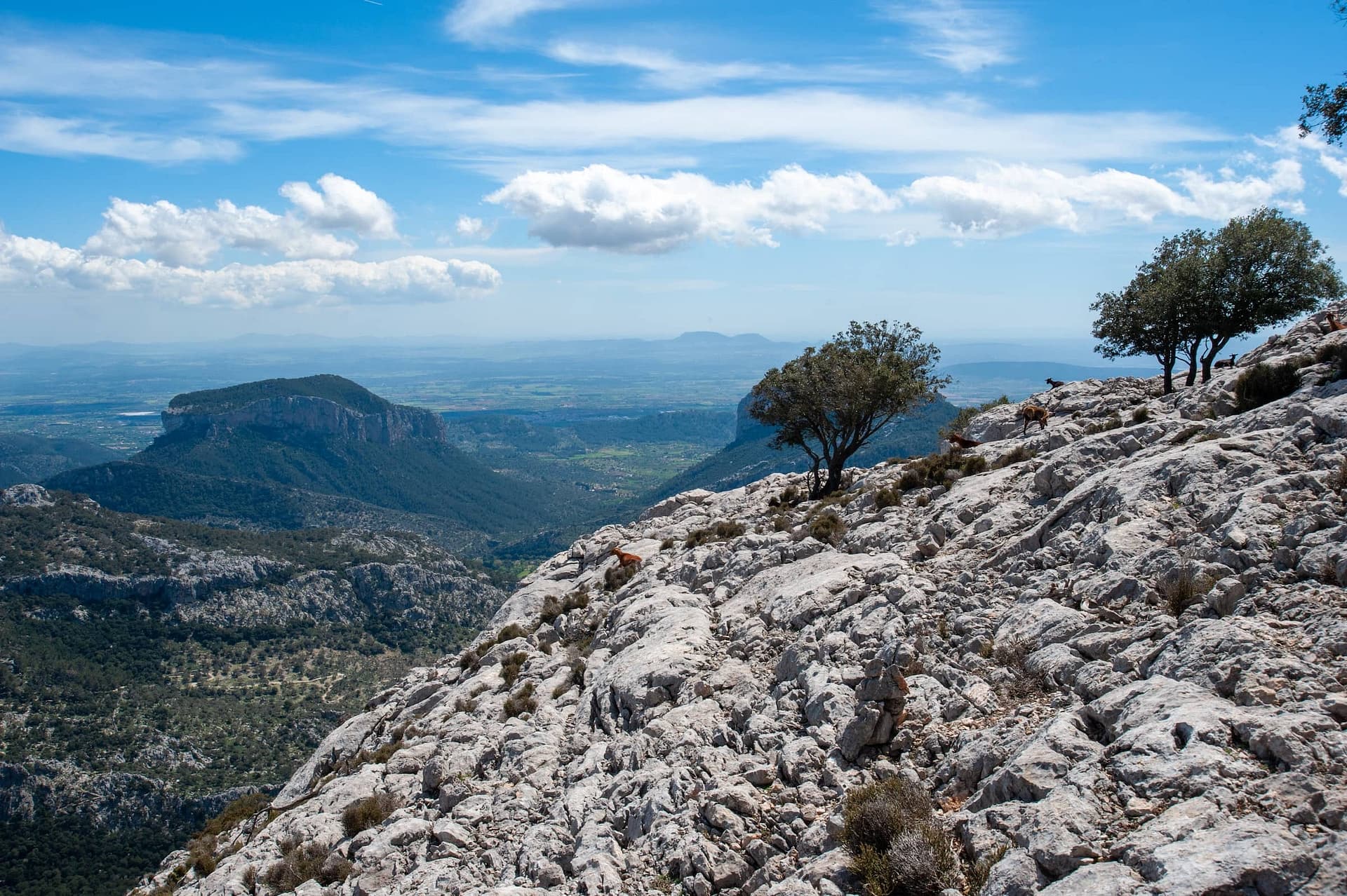 The Best Rated Hiking Routes in Majorca - Sustain Health Magazine