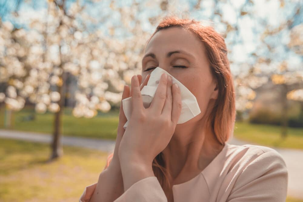 Expert Advice On How To Ease The Itch This Hay Fever Season - Sustain ...